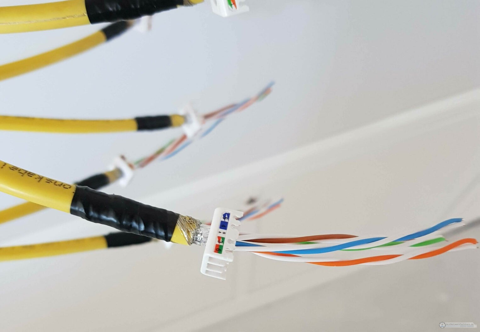 Keystone-Module – deinNetzwerkFachmann.de